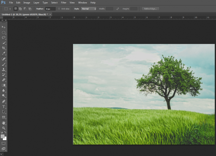 Cara Mudah Menyeleksi Objek Pohon di Adobe Photoshop | Sekolah Desain ...